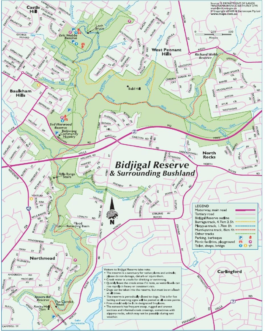 Bidjigal Reserve bushwalk. | Sean Carslake